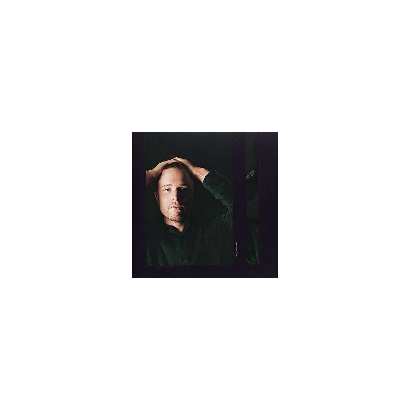 James Blake Assume Form Cd Woodwind And Brasswind